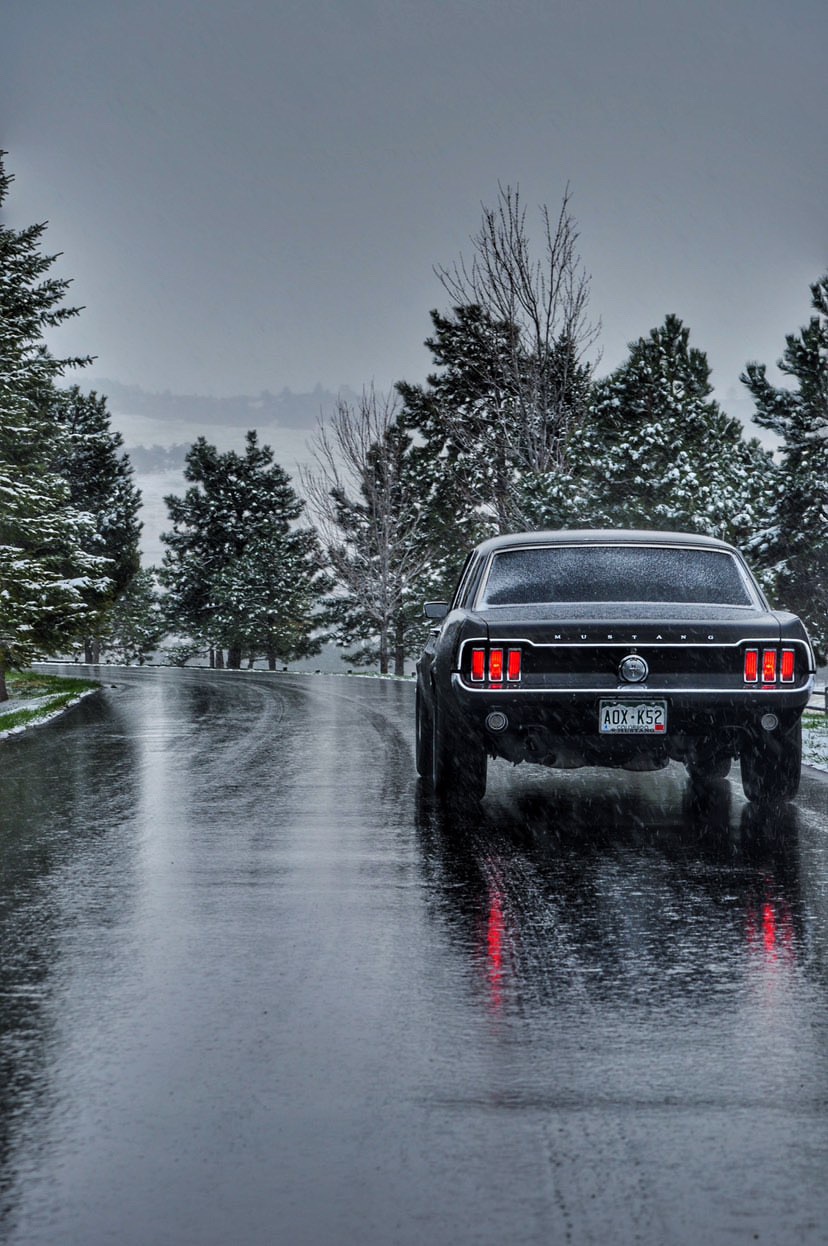 1967 Ford Mustang : Toothless