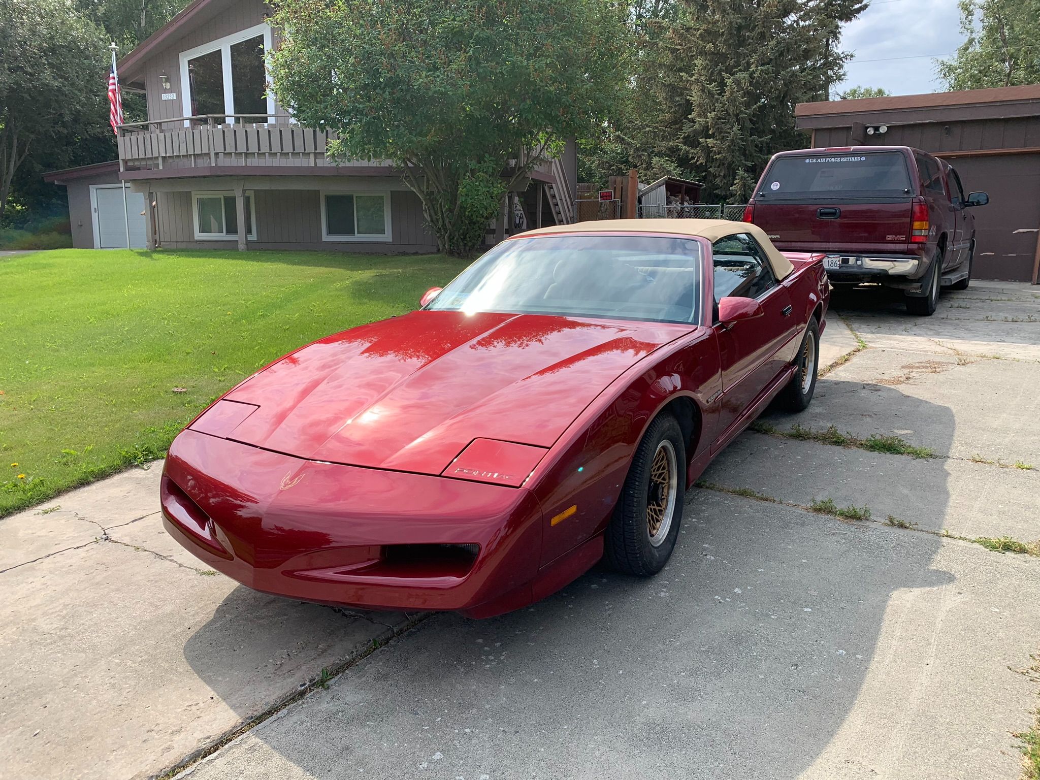 1991 Pontiac Firebird : Red Bird