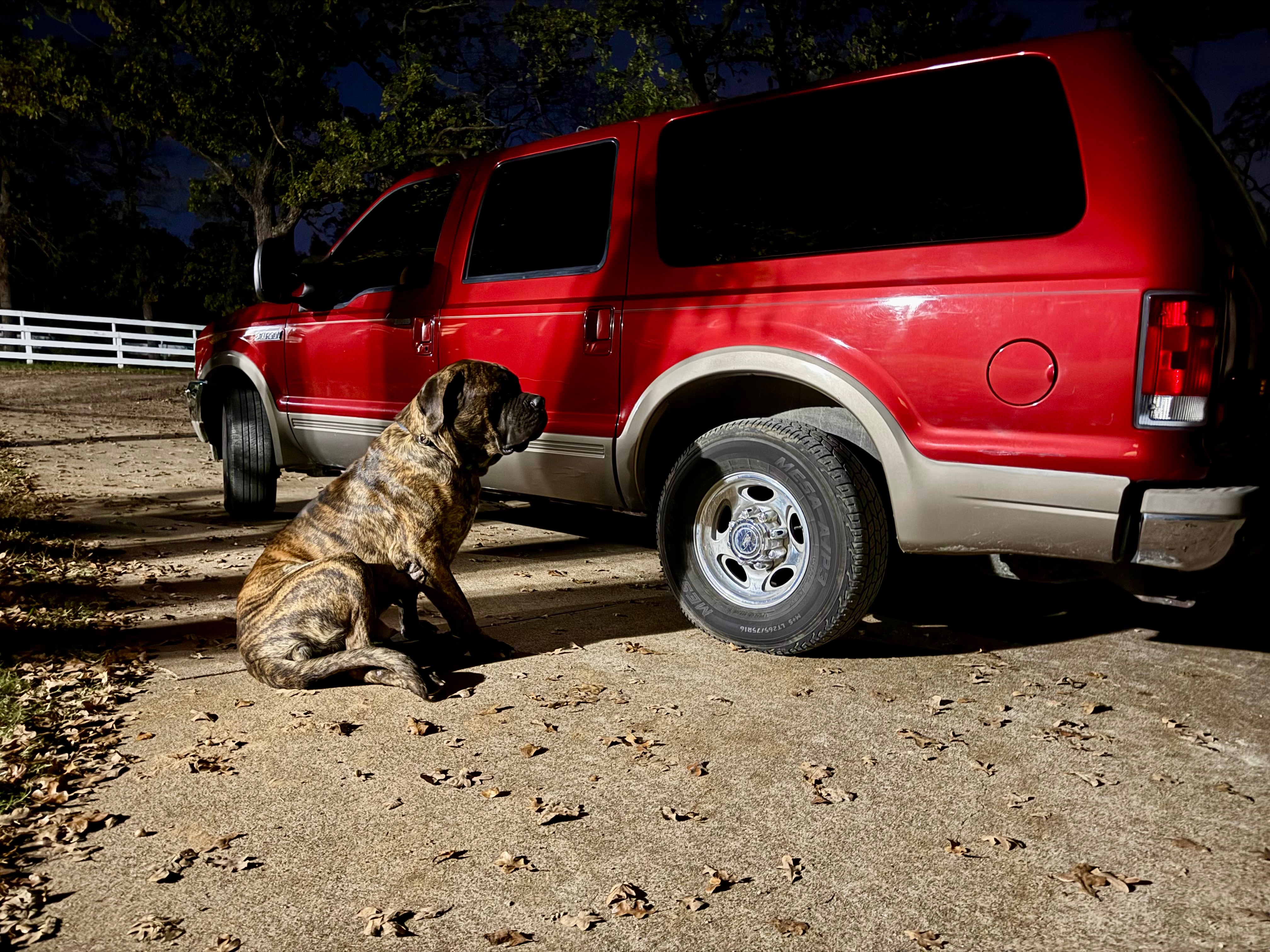2001 Ford Excursion : Old reliable 7.3