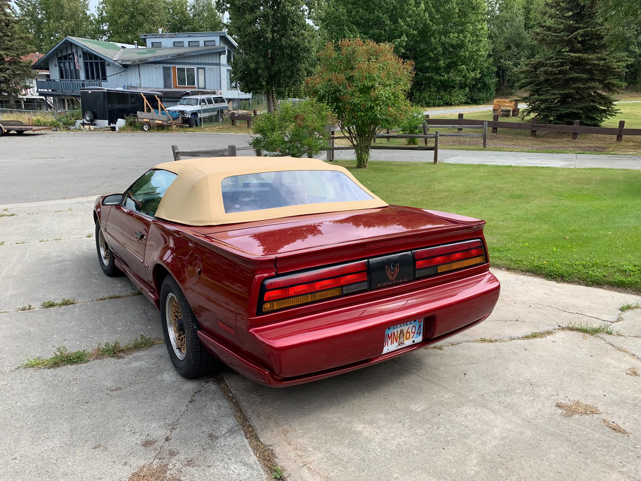 1991 Pontiac Firebird : Red Bird