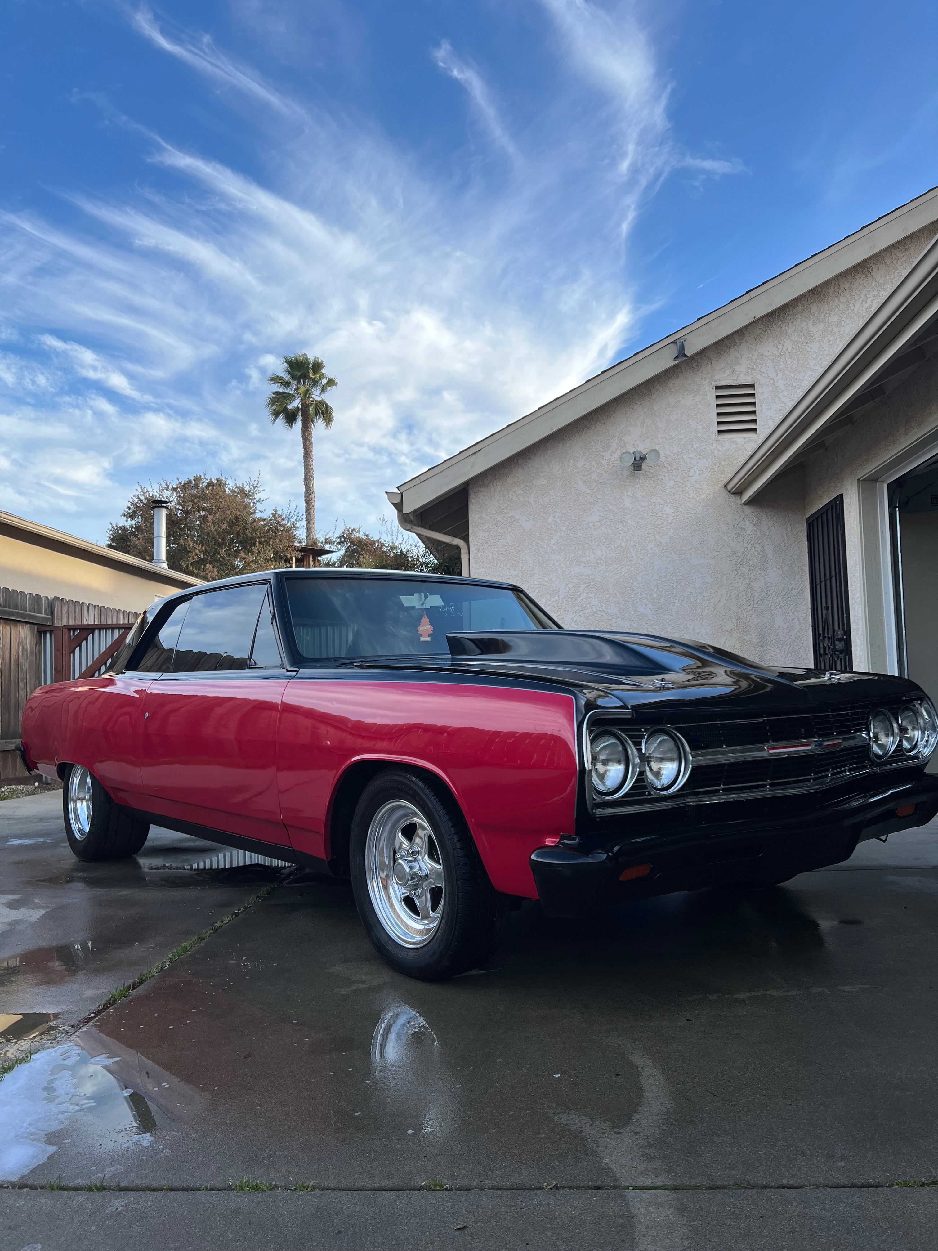 1965 Chevrolet Chevelle : 65 Chevelle